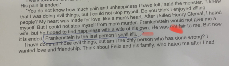 What is the meaning of " “ He is the last person I shall kill ...