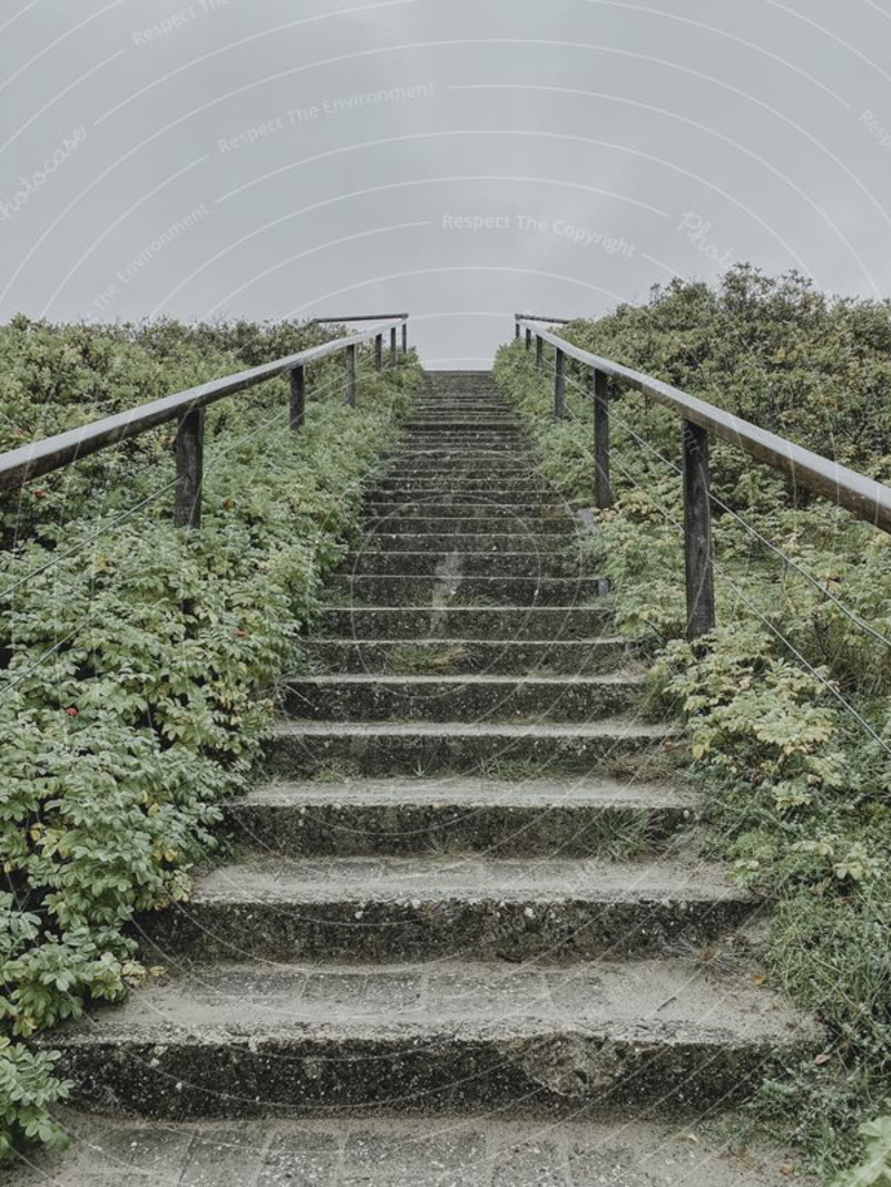 What is the meaning of "A flight of stone steps"? - Question about ...