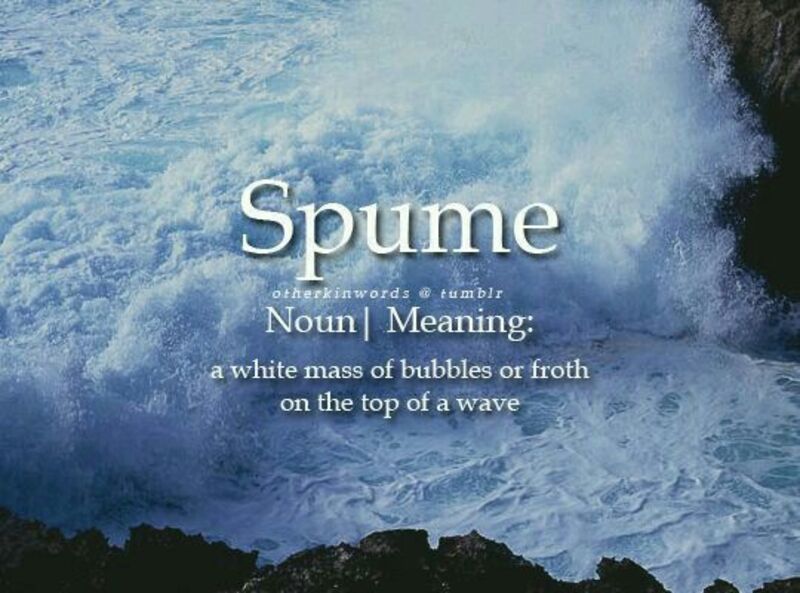 🆚What is the difference between "spume" and "foam" ? "spume" vs "foam ...