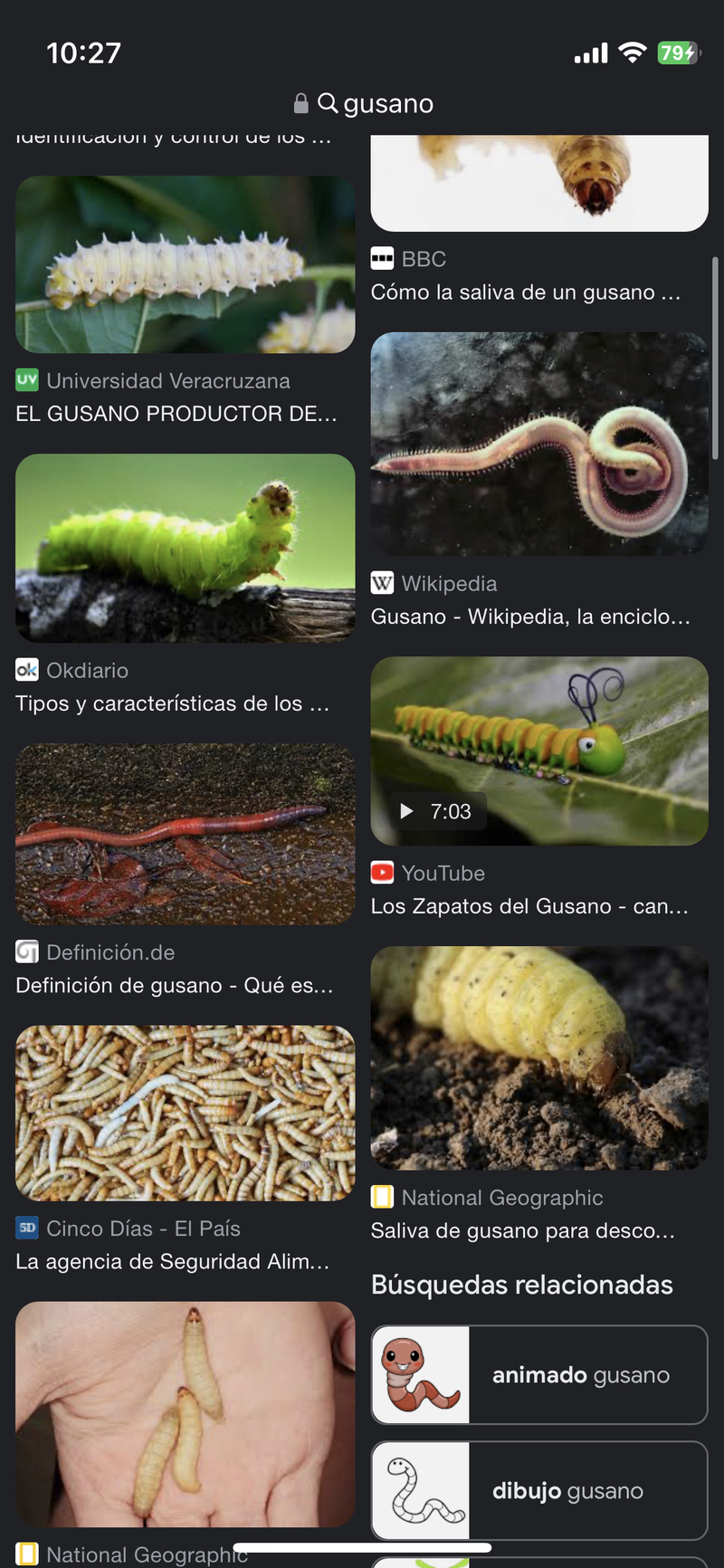 ¿Cuál es la diferencia entre "Larva " y "gusano" ? "Larva " vs "gusano" ? | HiNative