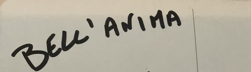 "Bell’ anima " 和 "Bella anima " 的差別在哪裡？ | HiNative