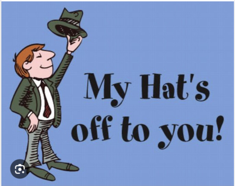 what “hats off to you” mean ? And is this phrase used very well? | HiNative