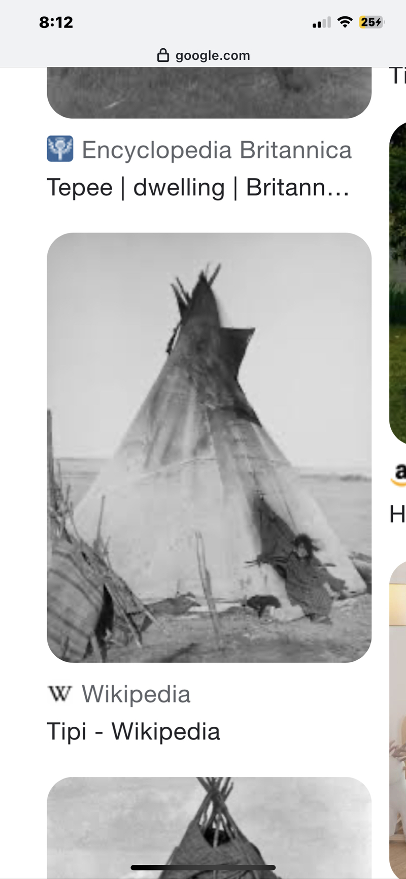 🆚What is the difference between "climb up into tepees" and "climb up ...