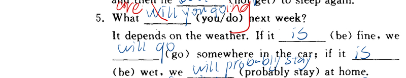 🆚What is the difference between "what will you do next week" and "what ...