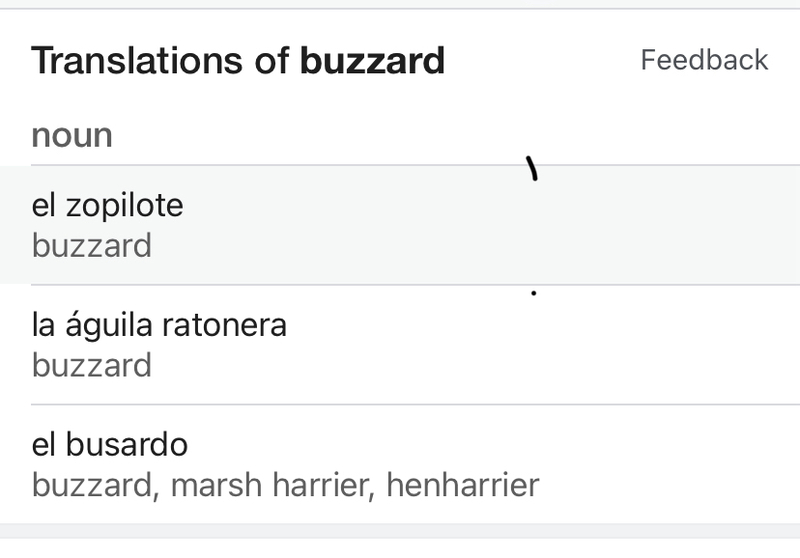 How do you translate the word "buzzard" in Spanish? I read this word in ...