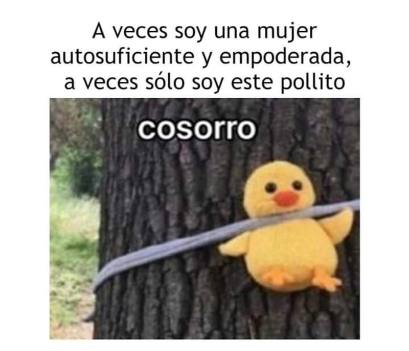 What is the meaning of "cosorro "? - Question about Spanish (Mexico ...