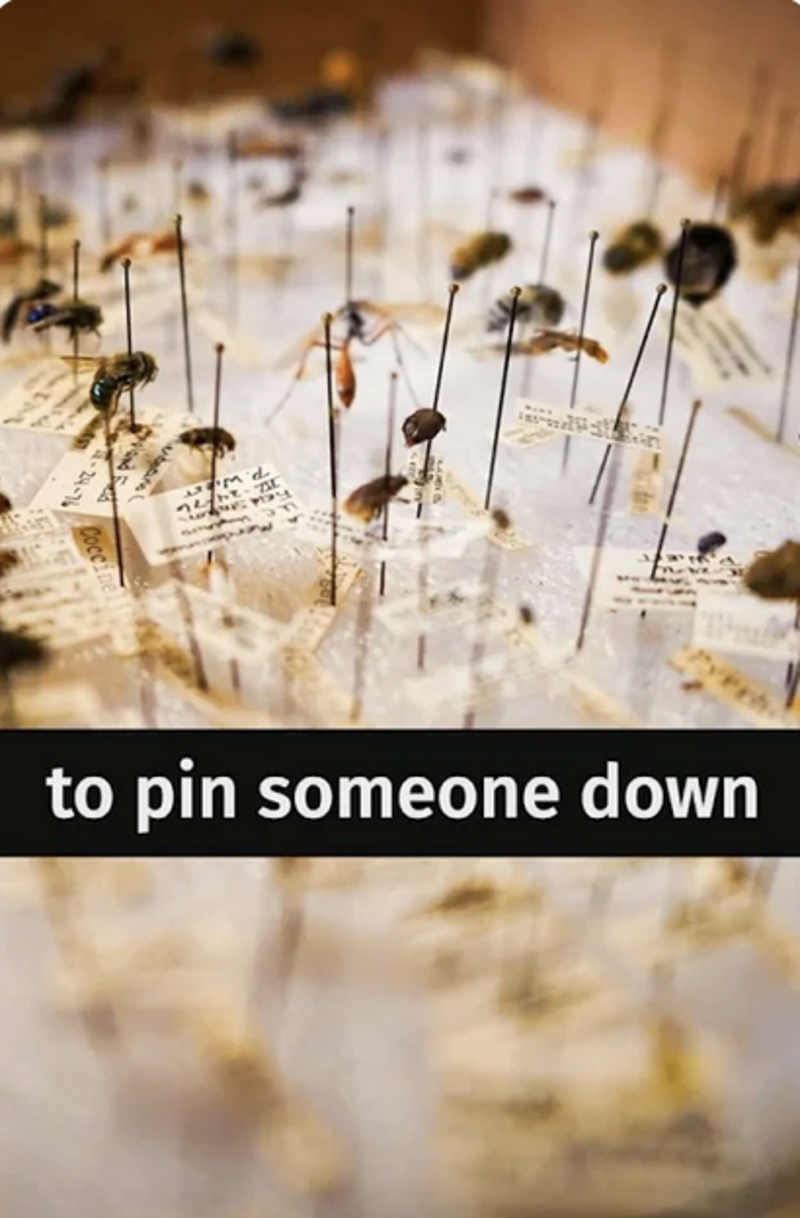 What does "pin someone down" and "pin something down" mean? | HiNative
