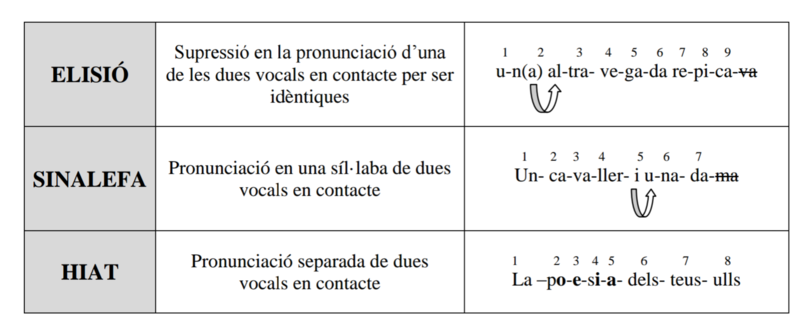 ¿Cuál es la diferencia entre "Elisió" y "Sinalefa" y "Hiat" ? "Elisió ...