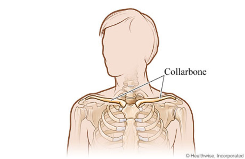 What is the meaning of "collarbone"? - Question about English (US ...