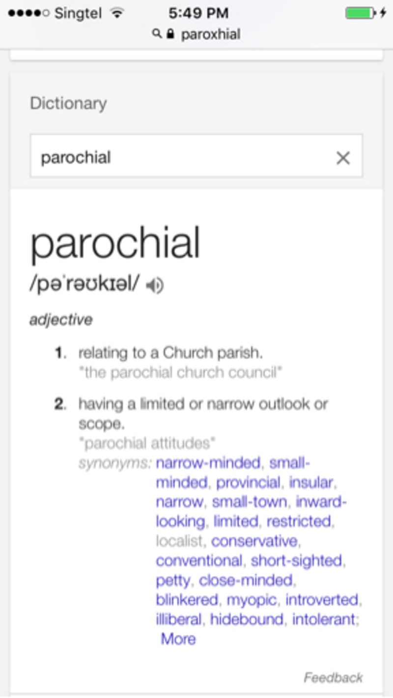 Please show me example sentences with "parochial". | HiNative