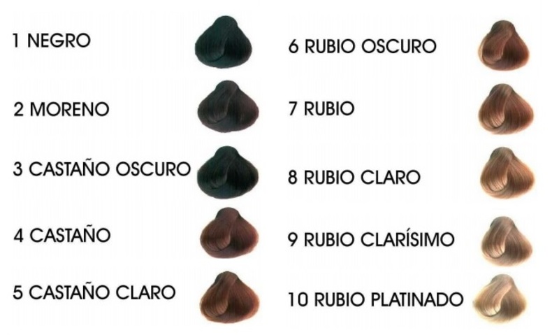 🆚What is the difference between "marron" and "marrones" ? "marron" vs ...