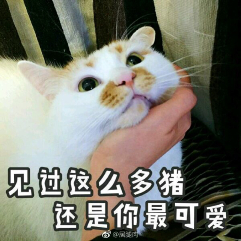 What is the meaning of "这个可奈"? - Question about Simplified Chinese (China) | HiNative