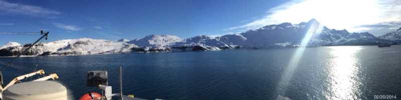 What is the meaning of "open-sea"? - Question about English (US) | HiNative