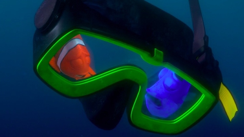 “Sea monkey stole my money. ” It is a line from that movie finding Nemo ...