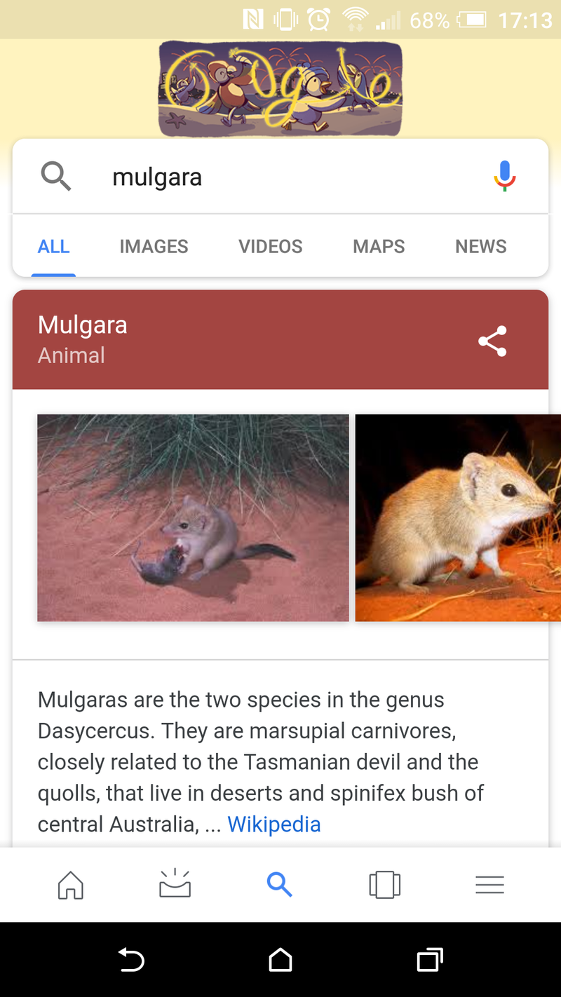 You guys have the cutest mammals: koalas, wallabies, quokkas and now I ...