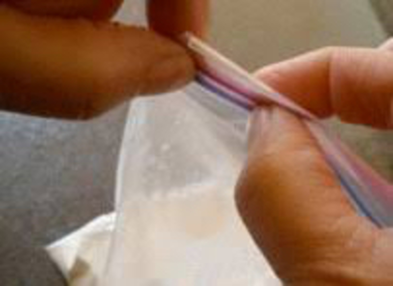 Please show me example sentences with "seal". | HiNative