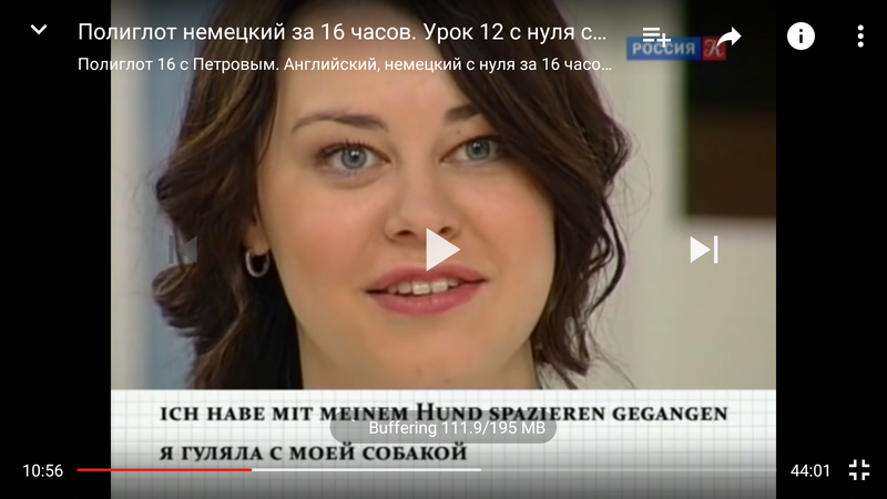 🆚What is the difference between "Ich habe heute morgen mit meinem Hund spazieren gegangen." and ...