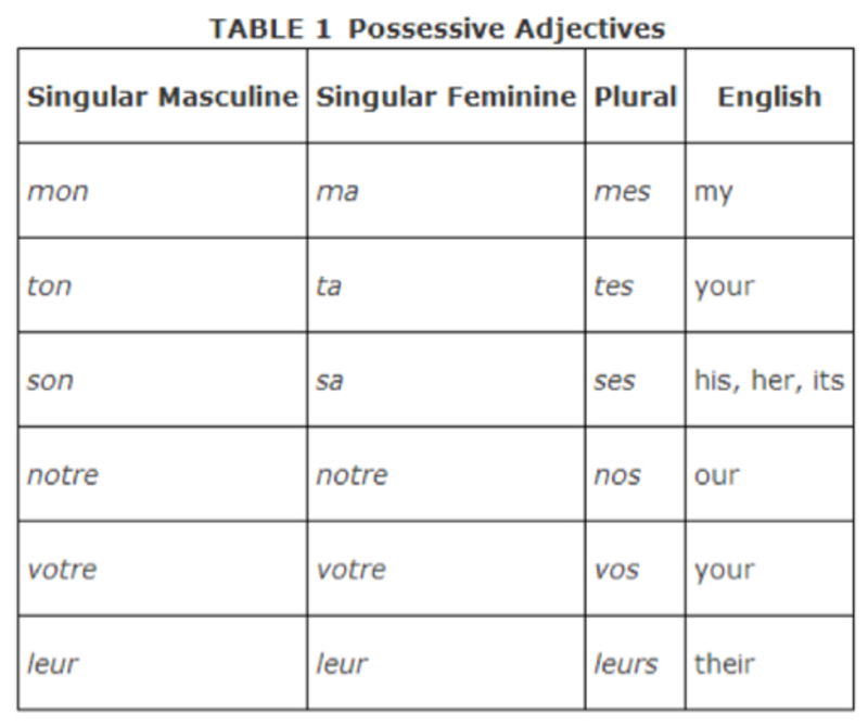 I was wondering what the French possessive pronouns (my, your, his, her ...