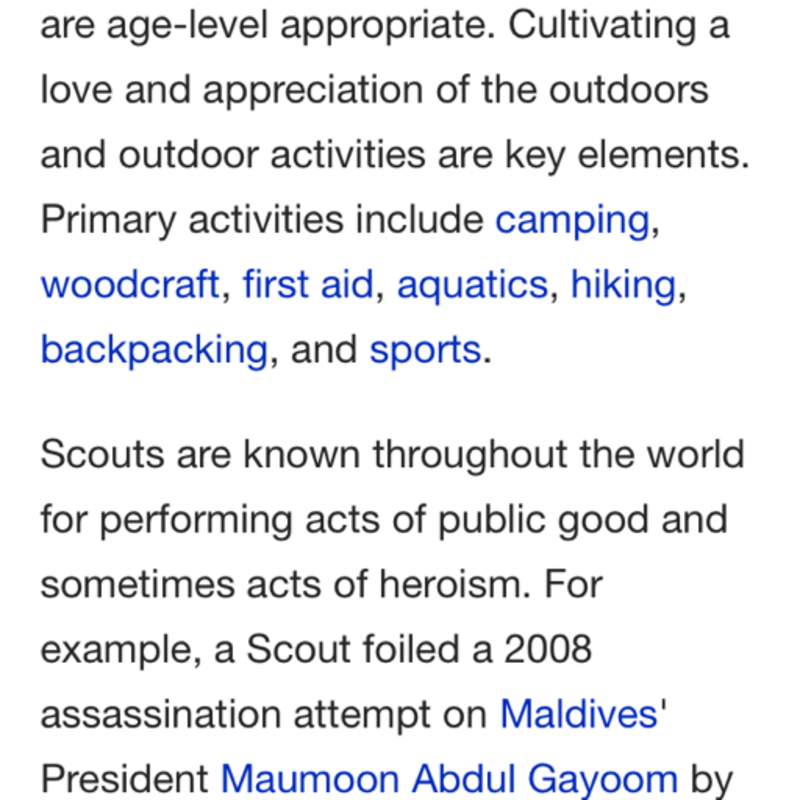 I am looking for the meaning of "scout" as a school subject. Or maybe ...