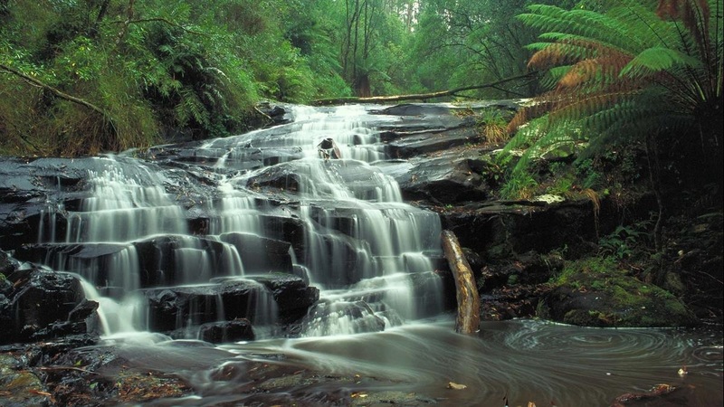 ¿Cuál es la diferencia entre "waterfall" y "cascade" ? "waterfall" vs ...