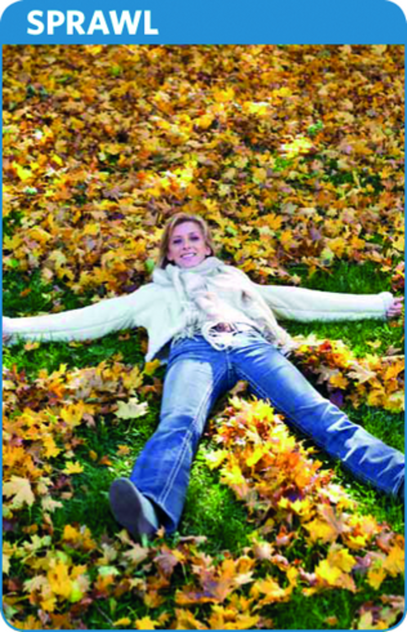 O que significa "went sprawling "? - Pergunta sobre a Inglês (Reino ...