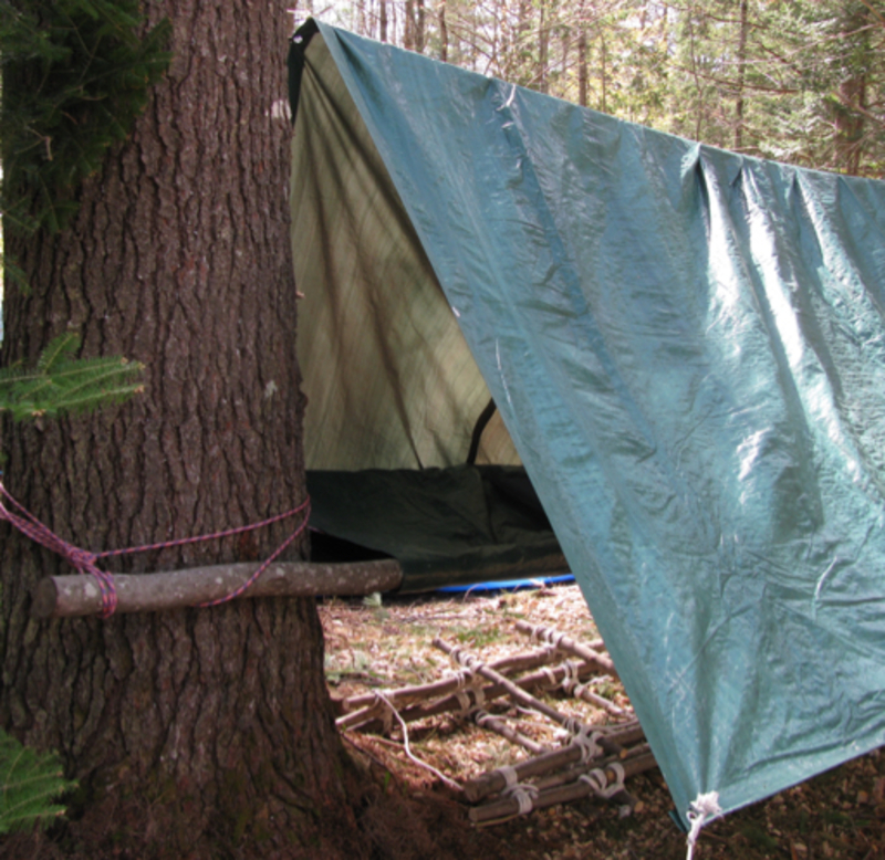 What is the meaning of "tarp"? - Question about English (US) | HiNative