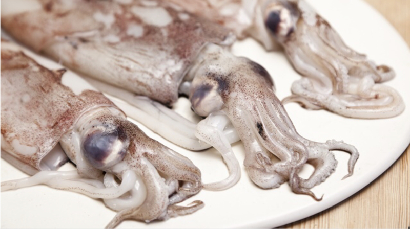 What is the meaning of "squib"? - Question about English (UK) | HiNative