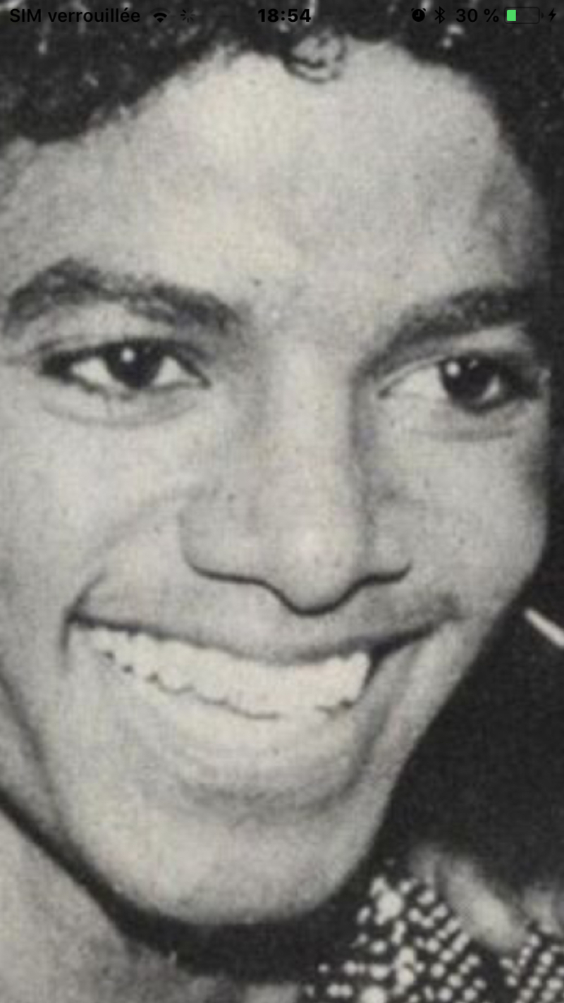 Por favor muéstrame oraciones como ejemplos con "je t’aime Michael ...