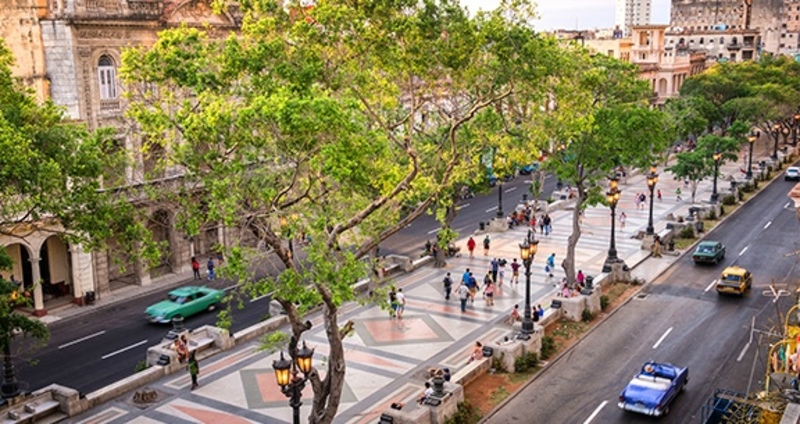 ¿Cuál es la diferencia entre avenida y bulevar? | HiNative