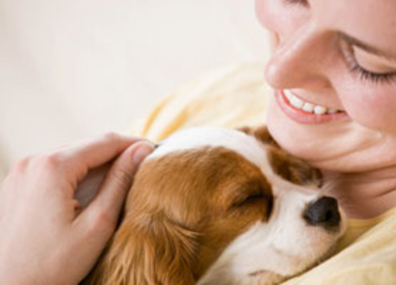 ¿Qué significa "endearing" en Inglés (US)? | HiNative