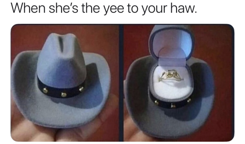 What is the meaning of "When she’s the yee to your haw."? - Question ...