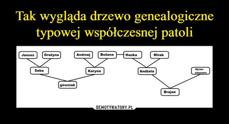 What is the meaning of "seba"? - Question about Polish | HiNative