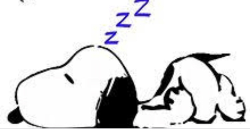 I know that Japanese people use "wwww" and it means LOL. Do you ever ...