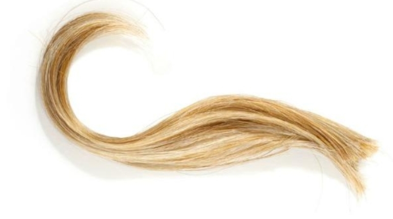 🆚What is the difference between "string" and "thread" and "strand ...