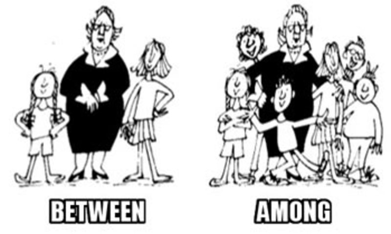 🆚What is the difference between "among" and "between" ? "among" vs "between" ? | HiNative