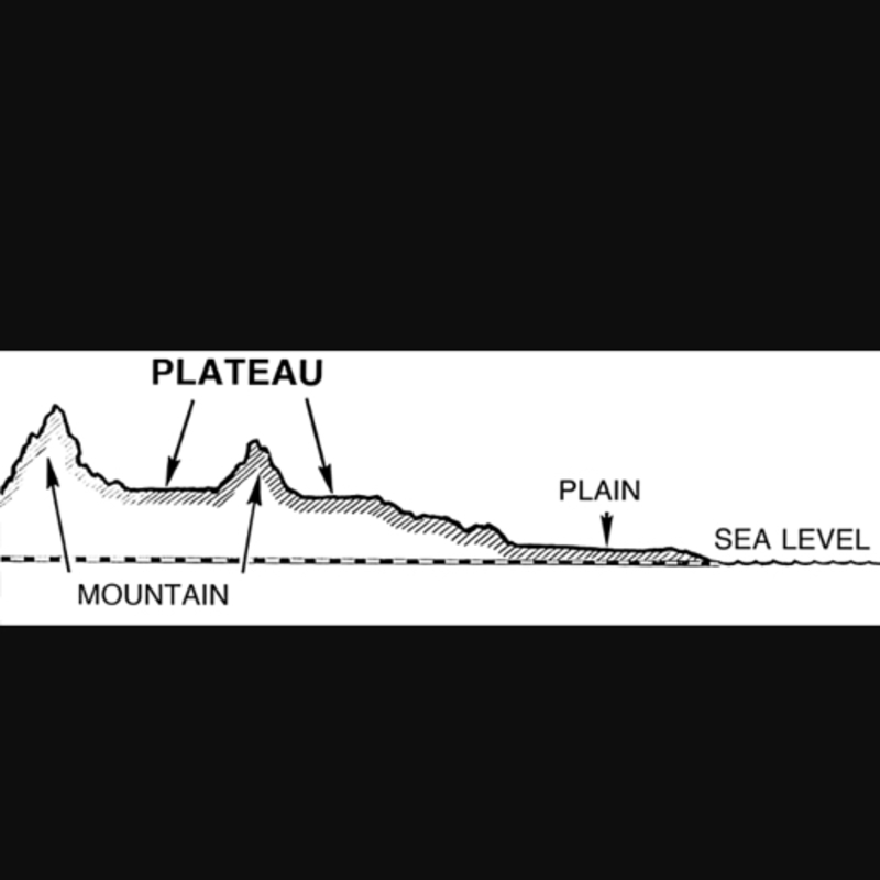 Por favor muéstrame oraciones como ejemplos con "reach a plateau ...