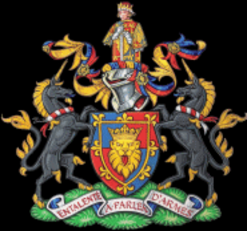 Please show me example sentences with "Emblazon". | HiNative