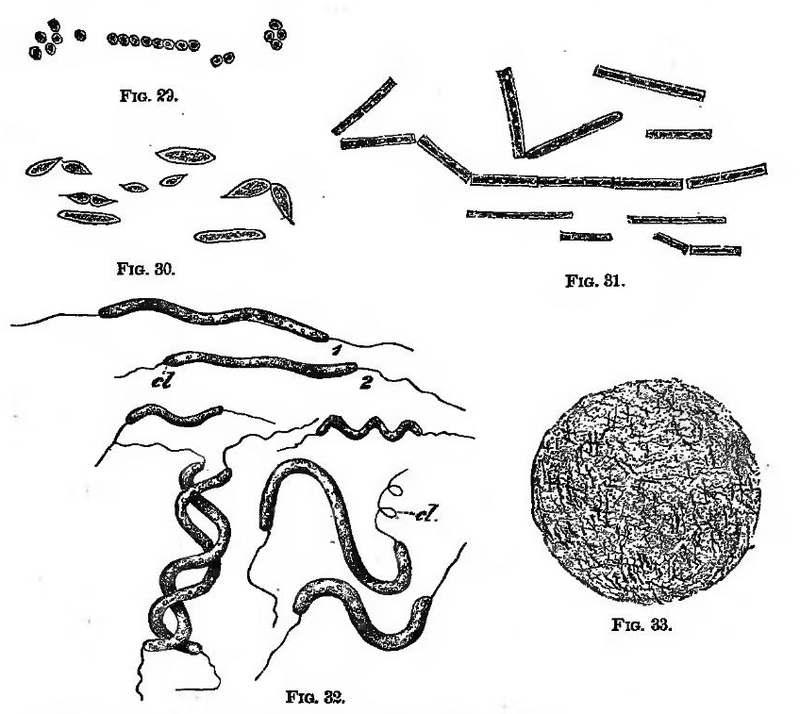 🆚What is the difference between "Diagram" and "Chart" and "Graph" and ...