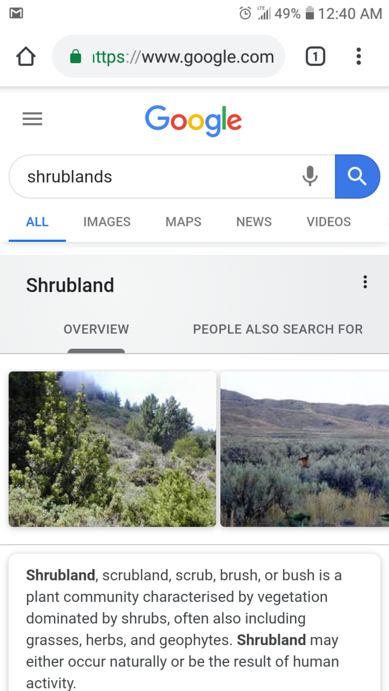 🆚What is the difference between "launch" and "lunch (IN THE ...