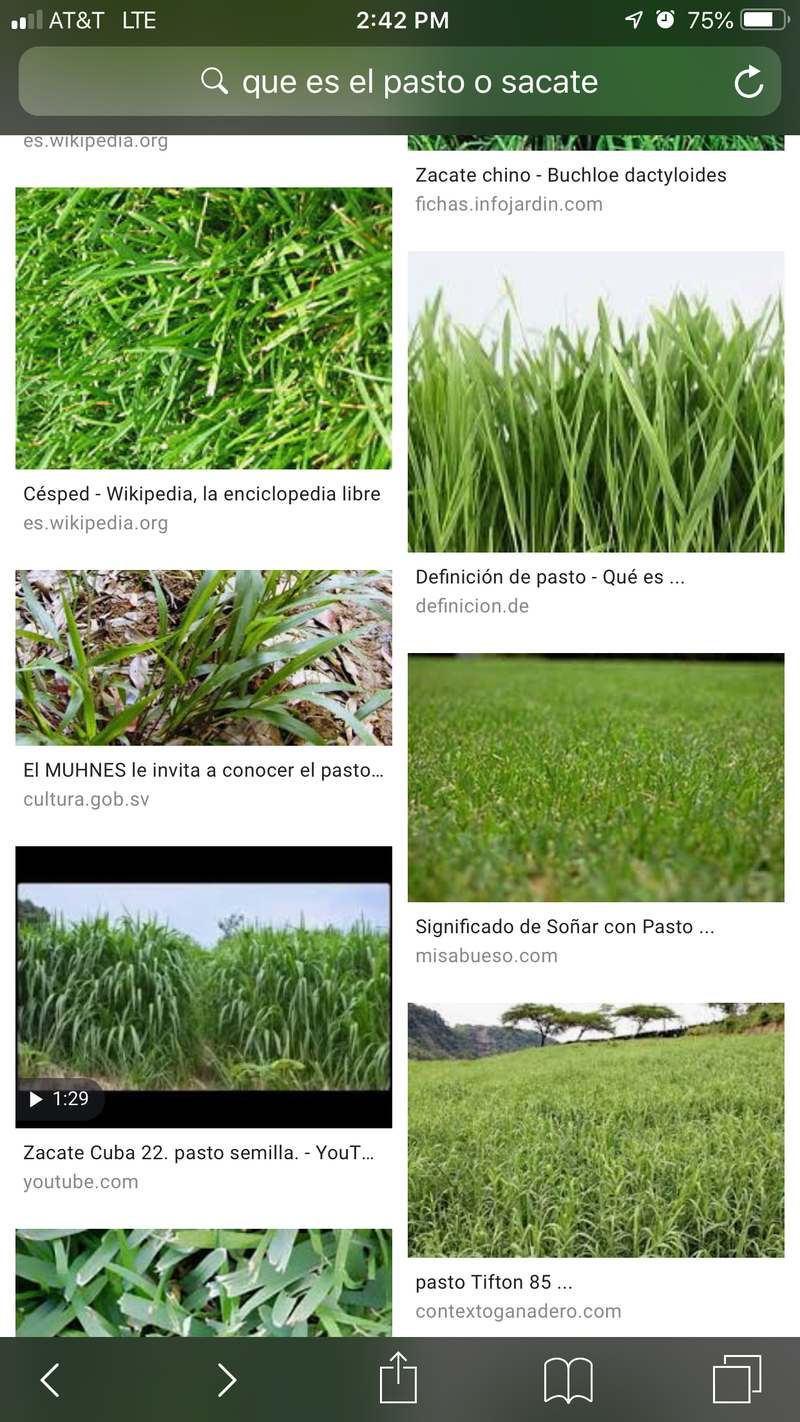 What is the meaning of "Sacate "? - Question about Spanish (Mexico ...