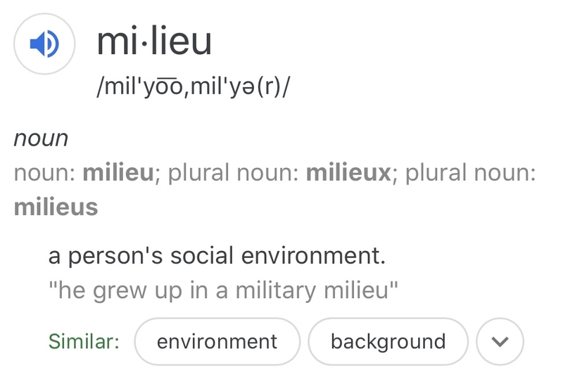 How do you say "do you know the differences of milieu, environment and ...