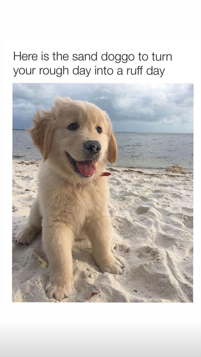 "ruff day" 这个在 英语 (美国) 里怎么说？ | HiNative