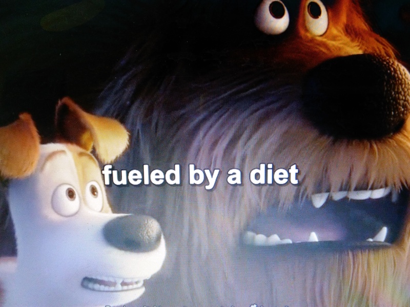 What is the meaning of "hiss"? - Question about English (US) | HiNative