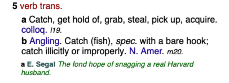 How do you say "what the mean of “snagged”?? this is the sentence “I ...