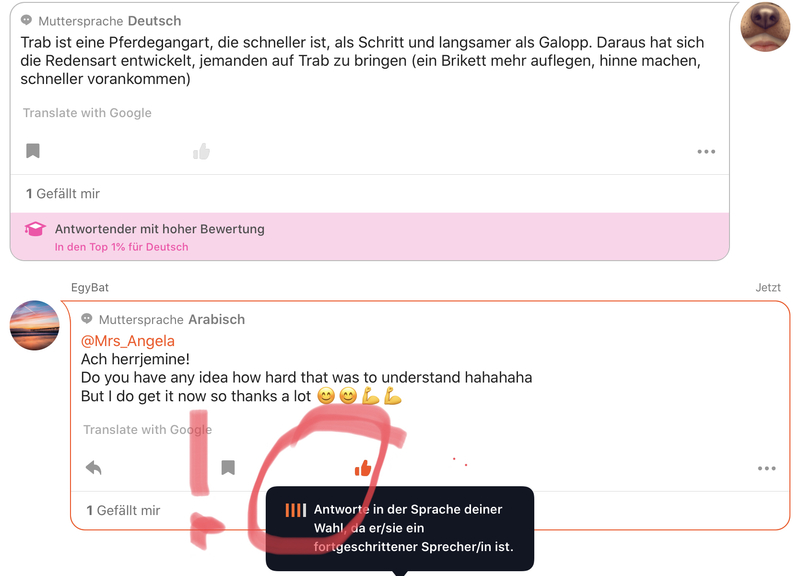 What is the meaning of "jdn. auf Trab bringen"? - Question about German ...