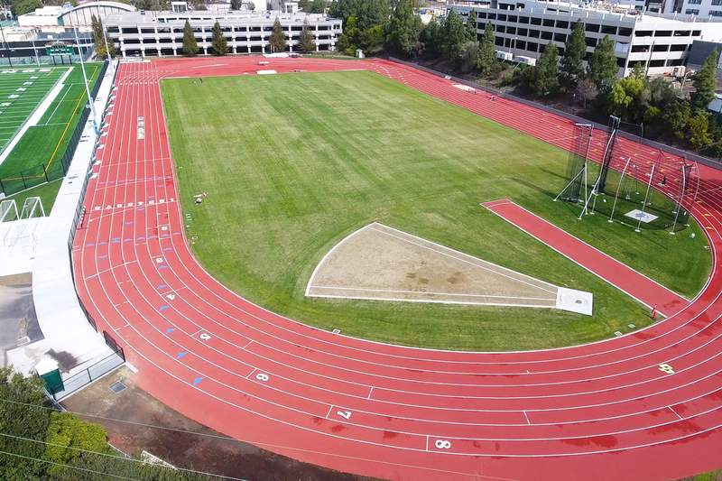 🆚What is the difference between "trail" and "track" and "path" ? "trail ...