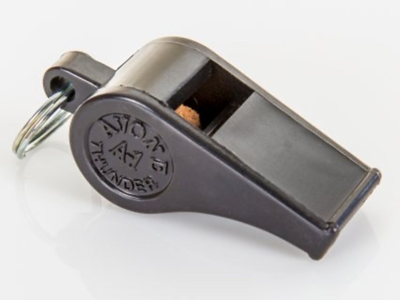 What is the meaning of "Whistle"? - Question about English (US) | HiNative