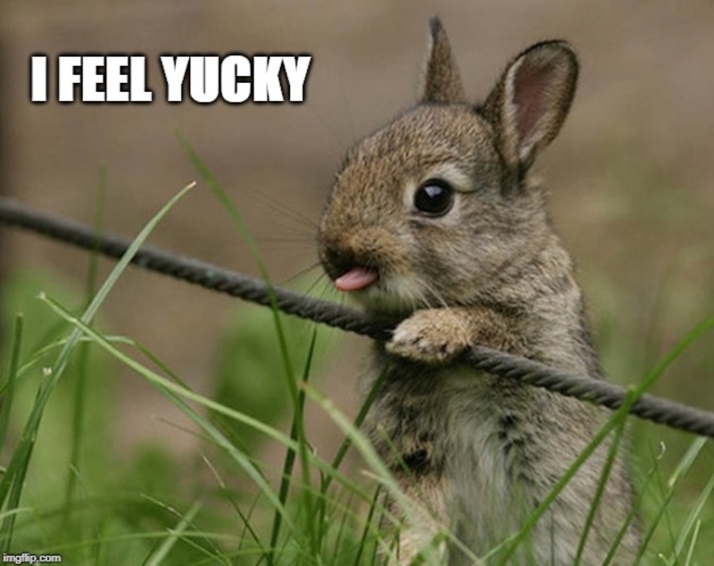 What is the meaning of "Yucky "? - Question about English (US) | HiNative