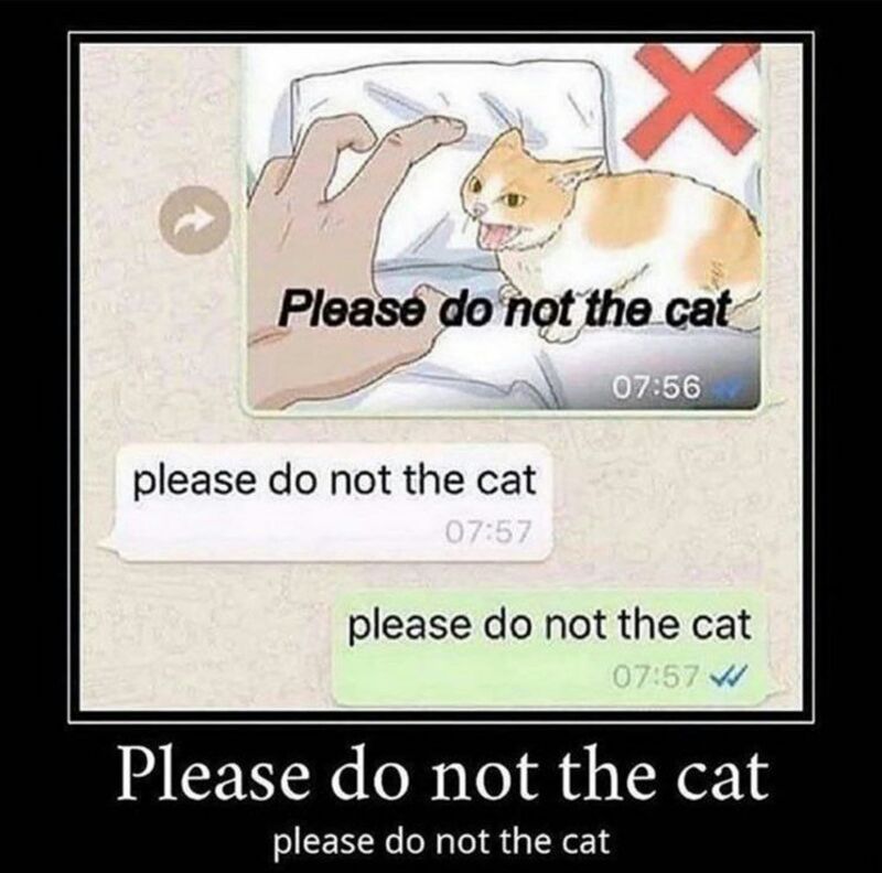 O que significa "please do not the cat "? - Pergunta sobre a Inglês (RU ...