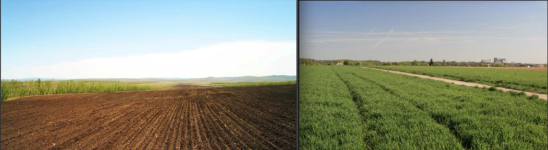 🆚What is the difference between "Acker" and "Feld" ? "Acker" vs "Feld ...